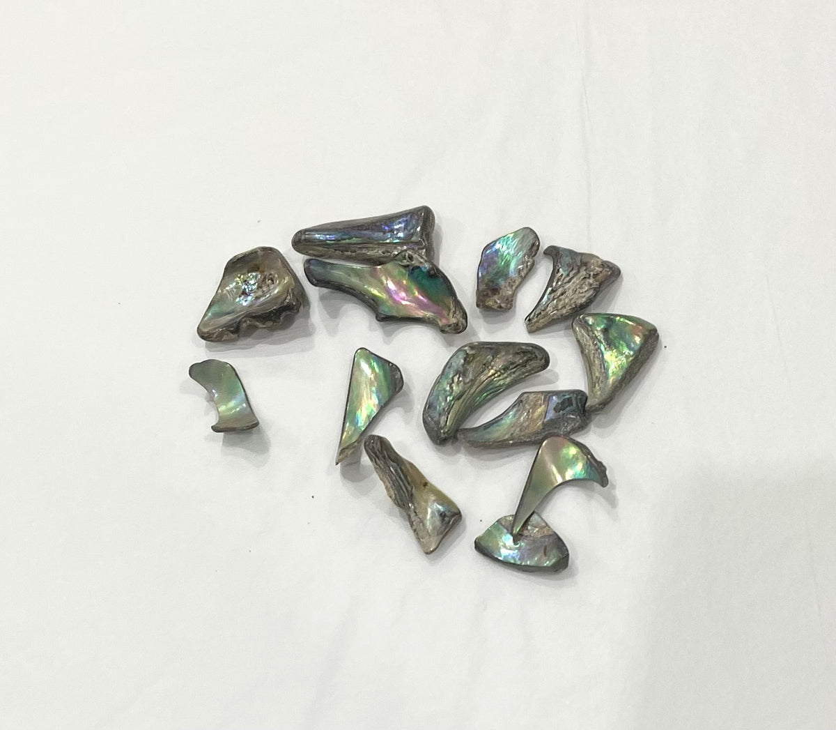 Abalone Shell Tumbled Piece 2cm – Reiju